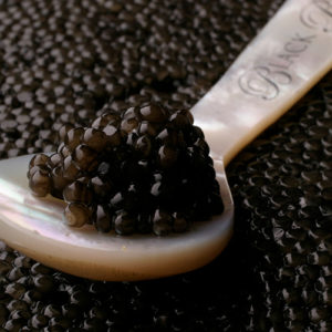 Caviar Knowledge Guide – Black River Caviar